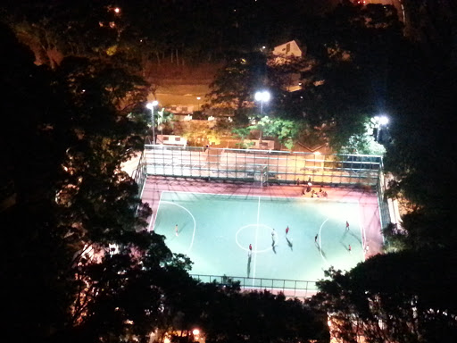 荃景圍足球場: Ingress portal